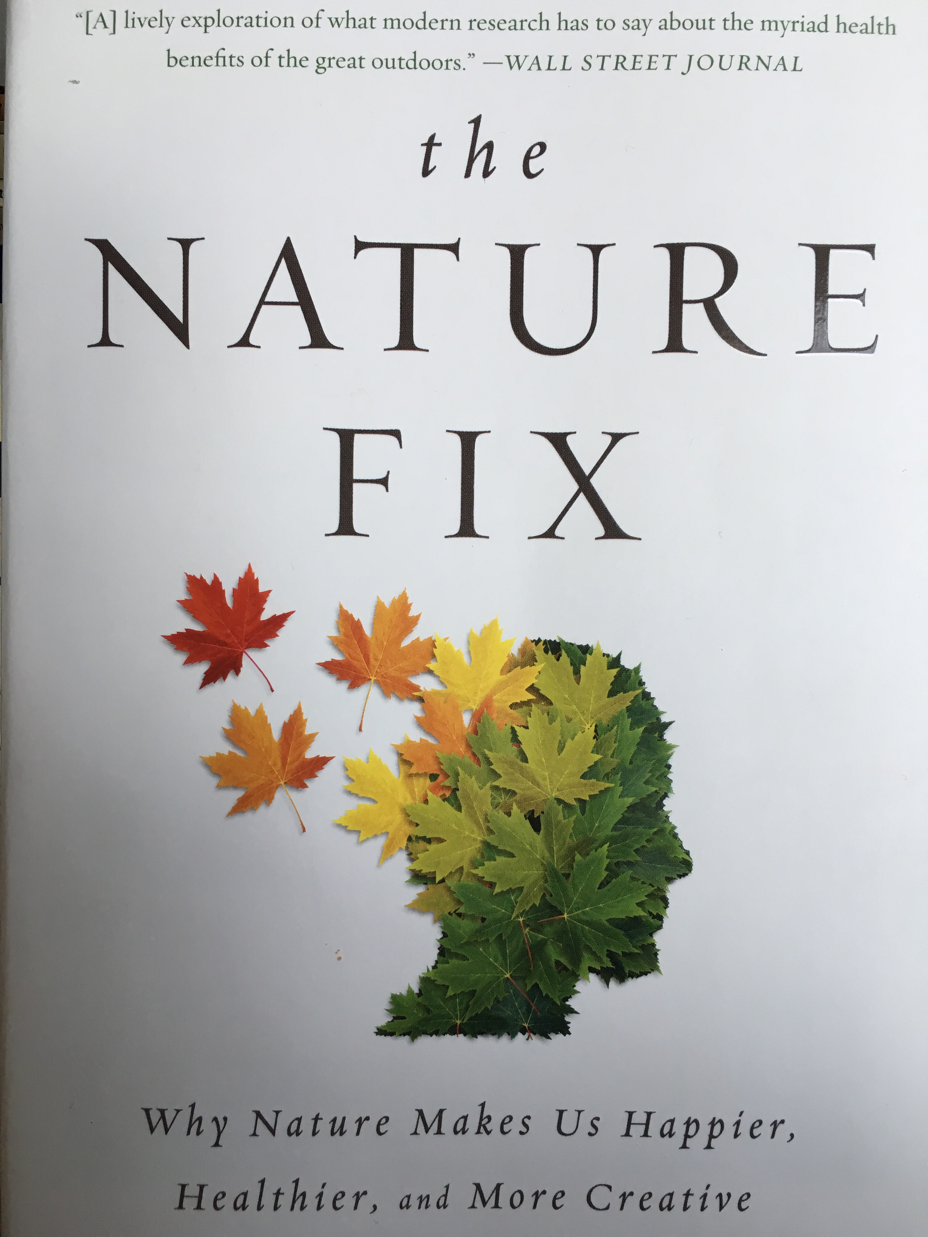 Getting your kicks with a nature fix – Rock. Paper. Bonfire.